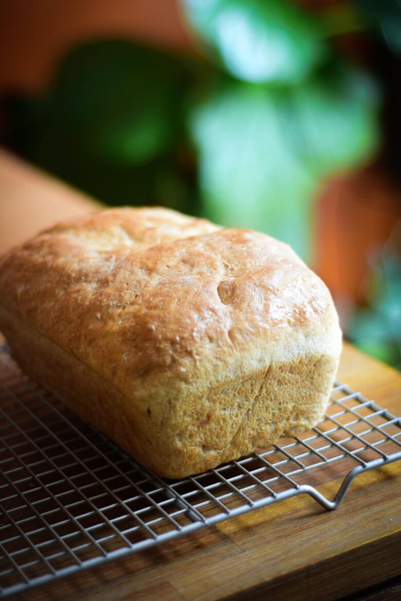 Sunbeam Bread Maker: Bread Recipe (Delicious) – HotSalty